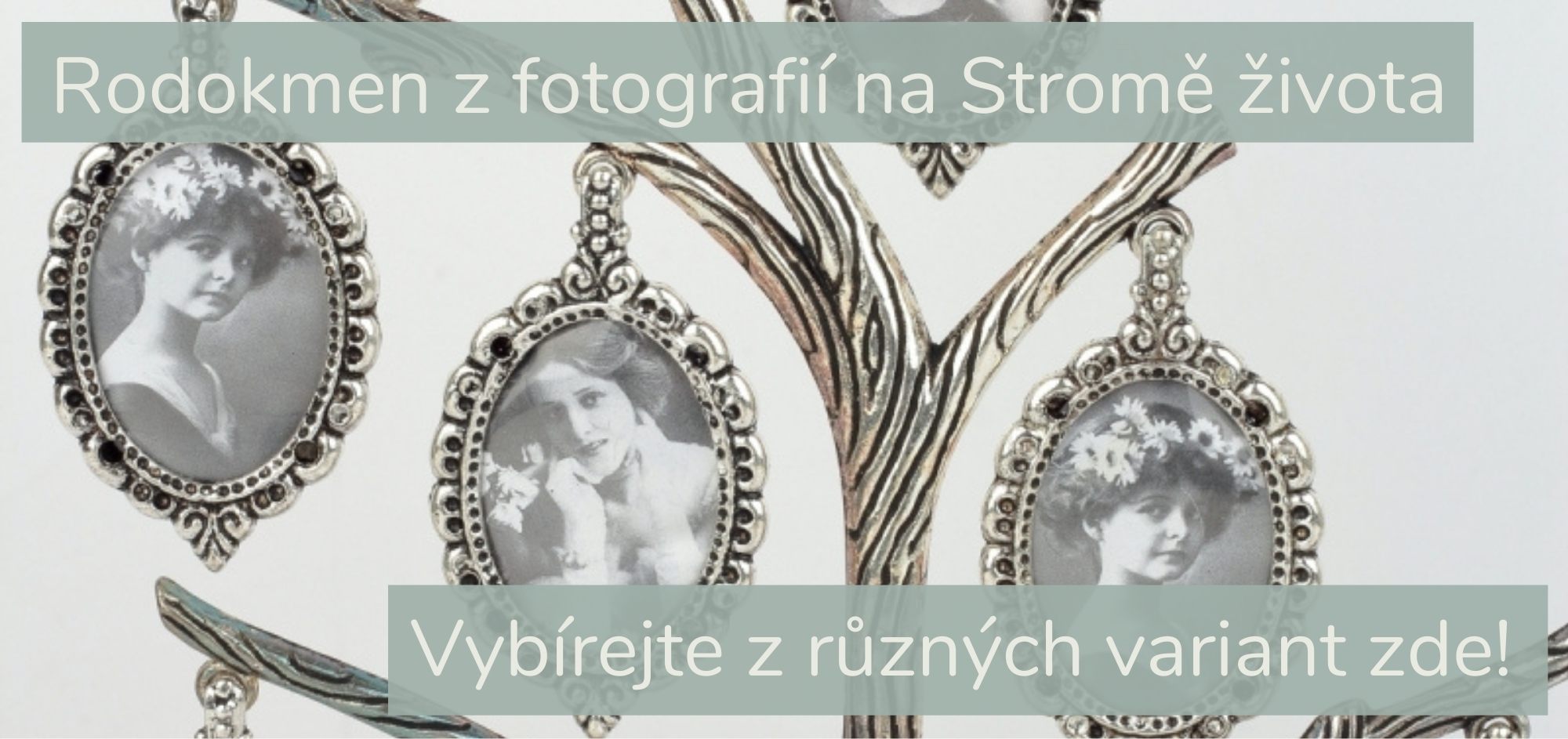 Rodokmen – Strom života v elegantním provedení s fotografiemi vaší ...